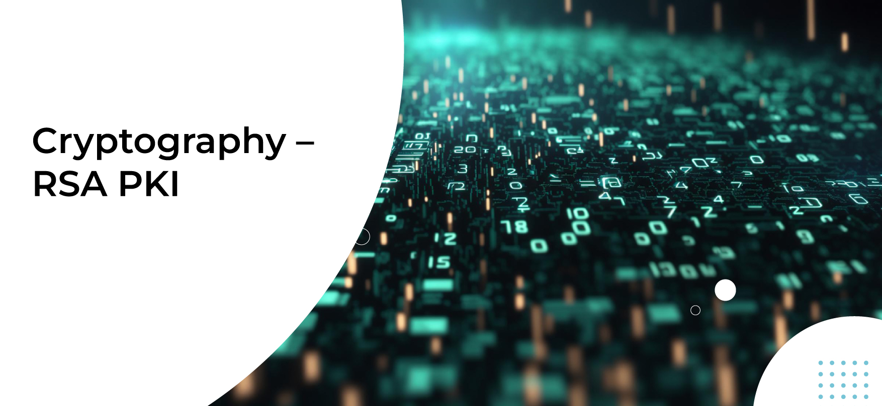 Cryptography - RSA PKI - DivInisoft